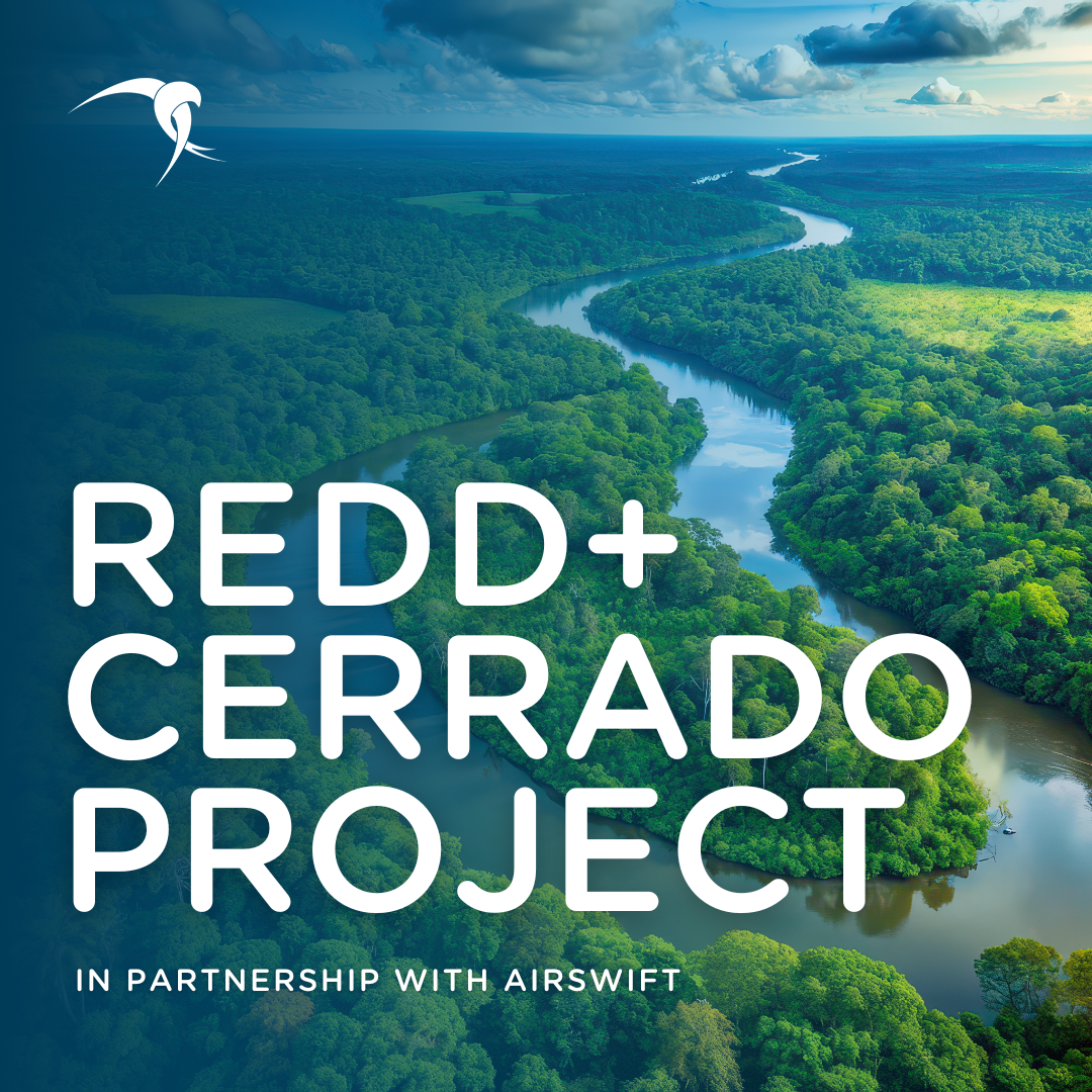 From Brazil's Cerrado to the world: Airswift’s pledge to a sustainable ...