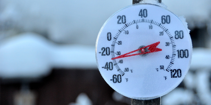 Cold Weather Stress