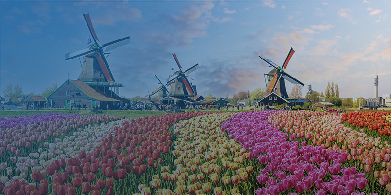 Netherlands Workforce Solutions - Airswift Office Location